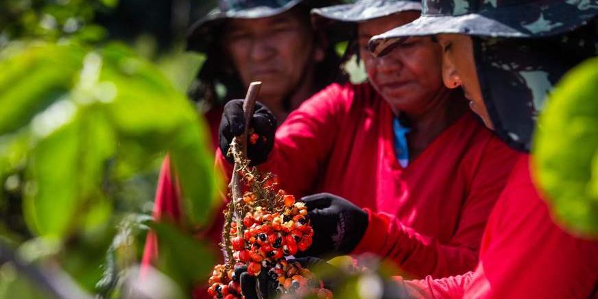 Recofarma comemora 30 anos de atividade no Polo Industrial de Manaus