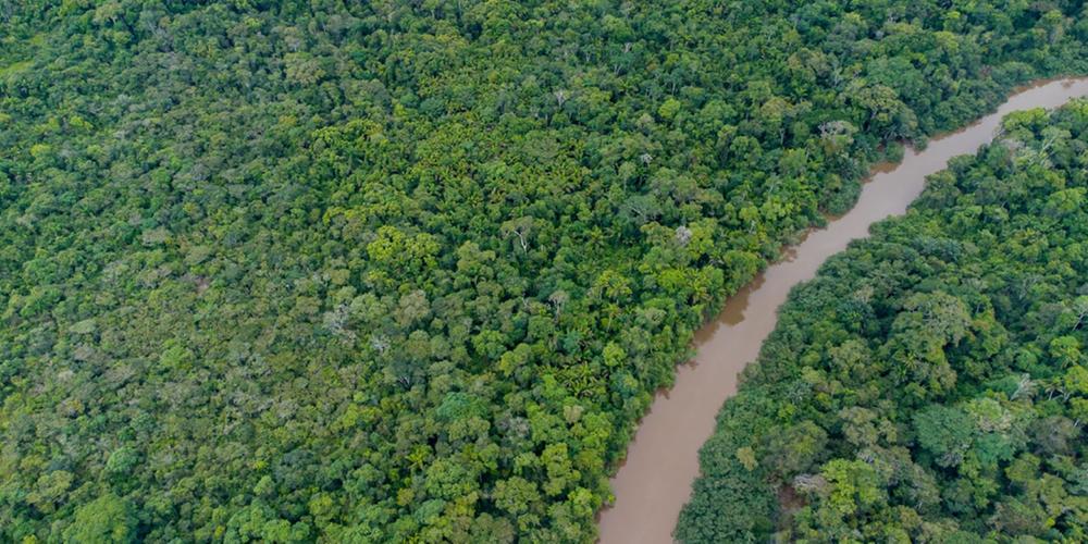A Exploração Ilegal de Minérios continua devastando a Amazônia em todos ...