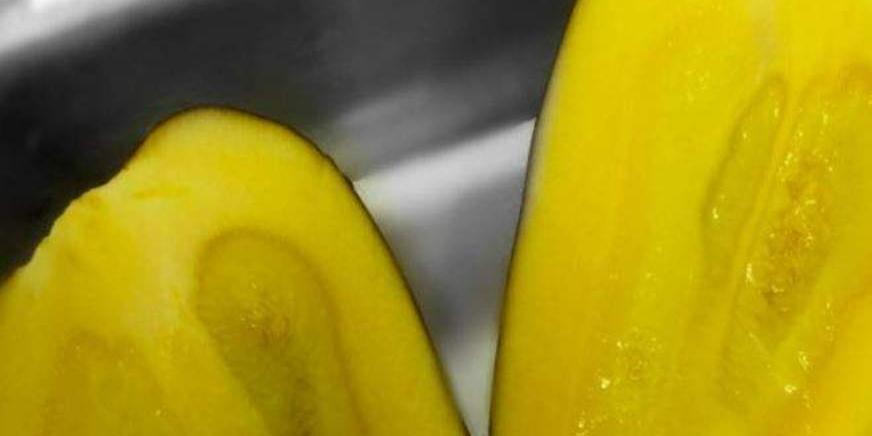 Pesquisadores do Amazonas avaliam o potencial da fruta ‘Cubiu’