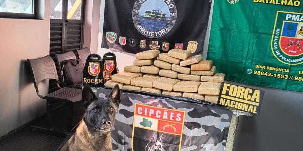 Cão farejador ajuda polícia a encontrar 37 quilos de skunk em sacas de ...