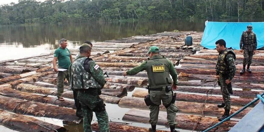Estudo inédito mostra que o Amazonas se tornou um dos epicentros da ...